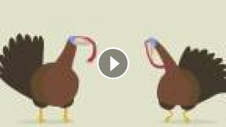 Moriak dupstep - Mojevideo