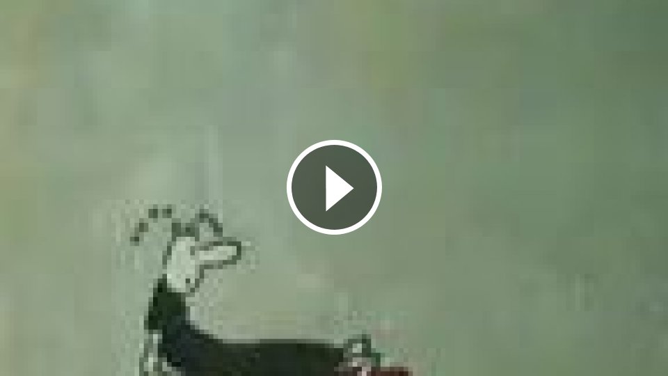 Traja chrobáci - Mojevideo