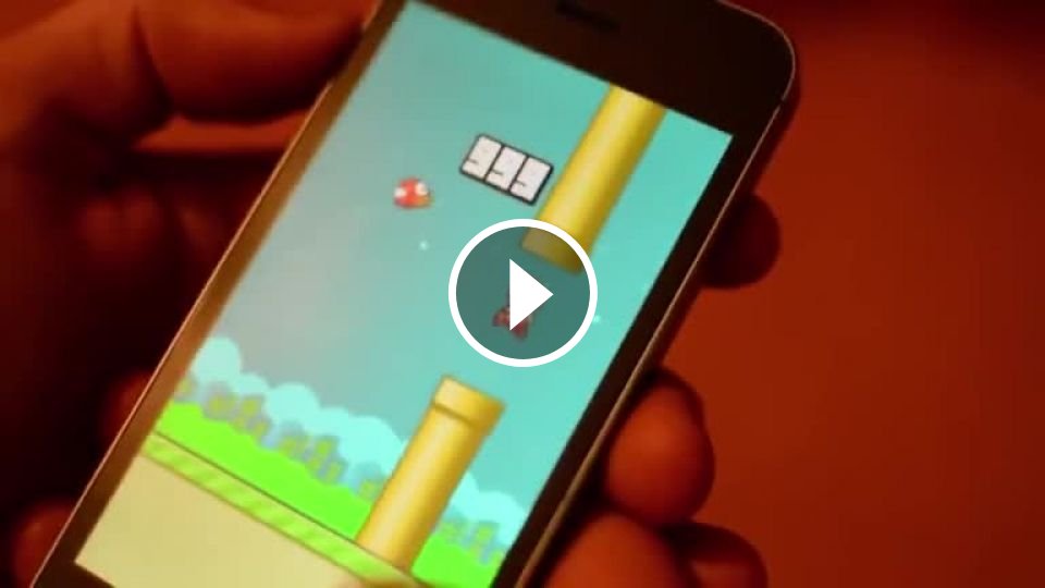 Flappy Bird - level 999 - Mojevideo