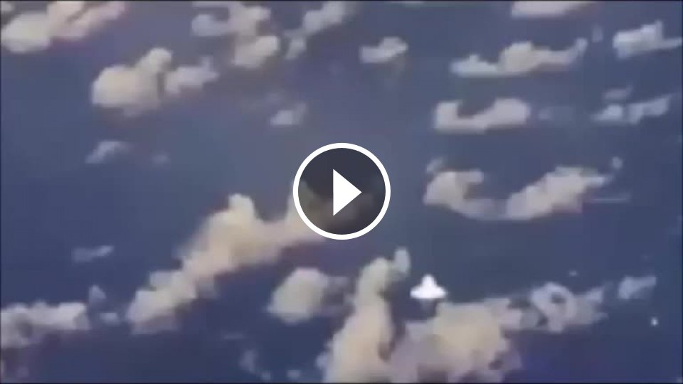 Allah'u akbaaaaaaar ! SpongeBob - Mojevideo