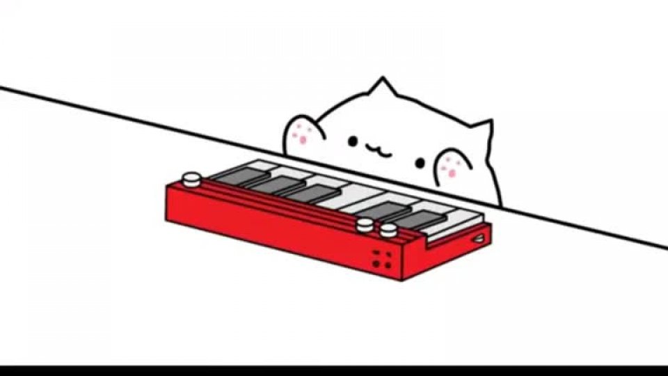 Bongo Cat - Mojevideo