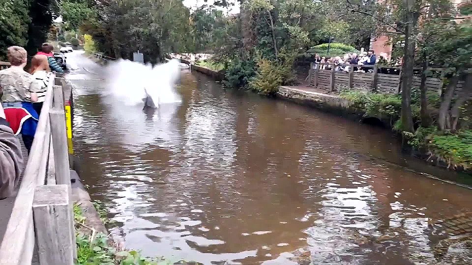Frigo sa dopočul o ceste, ktorá prechádza cez malú riečku v Rufford ...