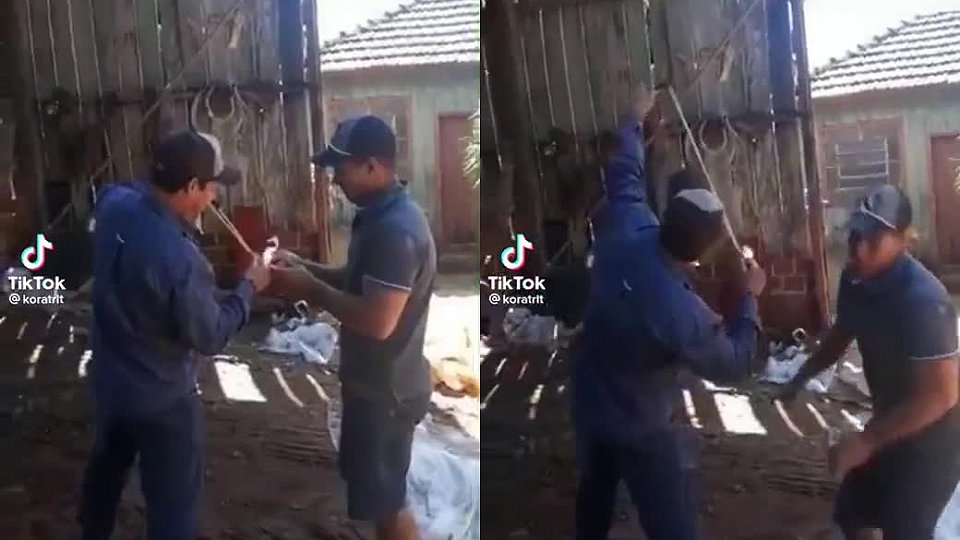 Prak + petarda vs. veľké osie hniezdo - Mojevideo