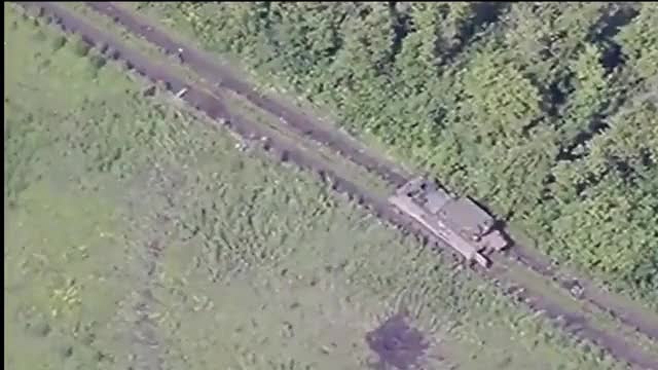 Mínus Zoopark-1 1L219 #02 - Mojevideo