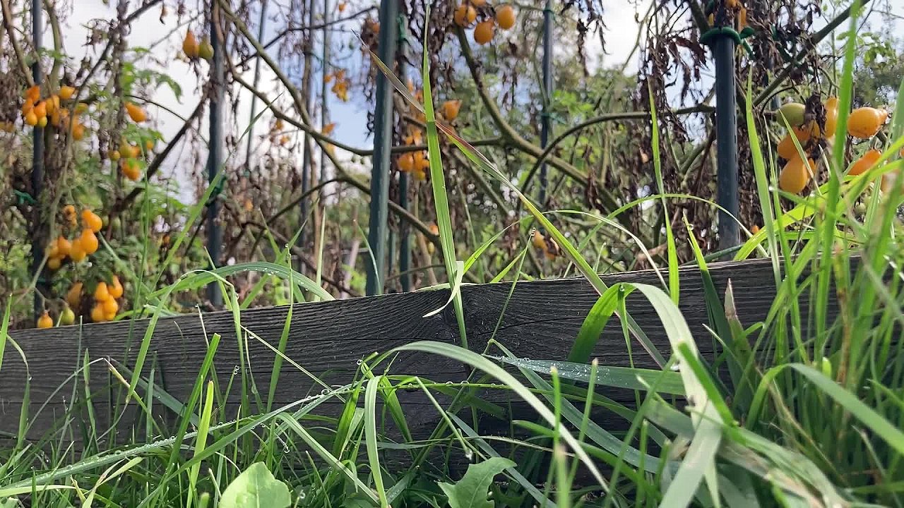 NRSR 2023 - aktuálna výzva pre kandidátov - Mojevideo