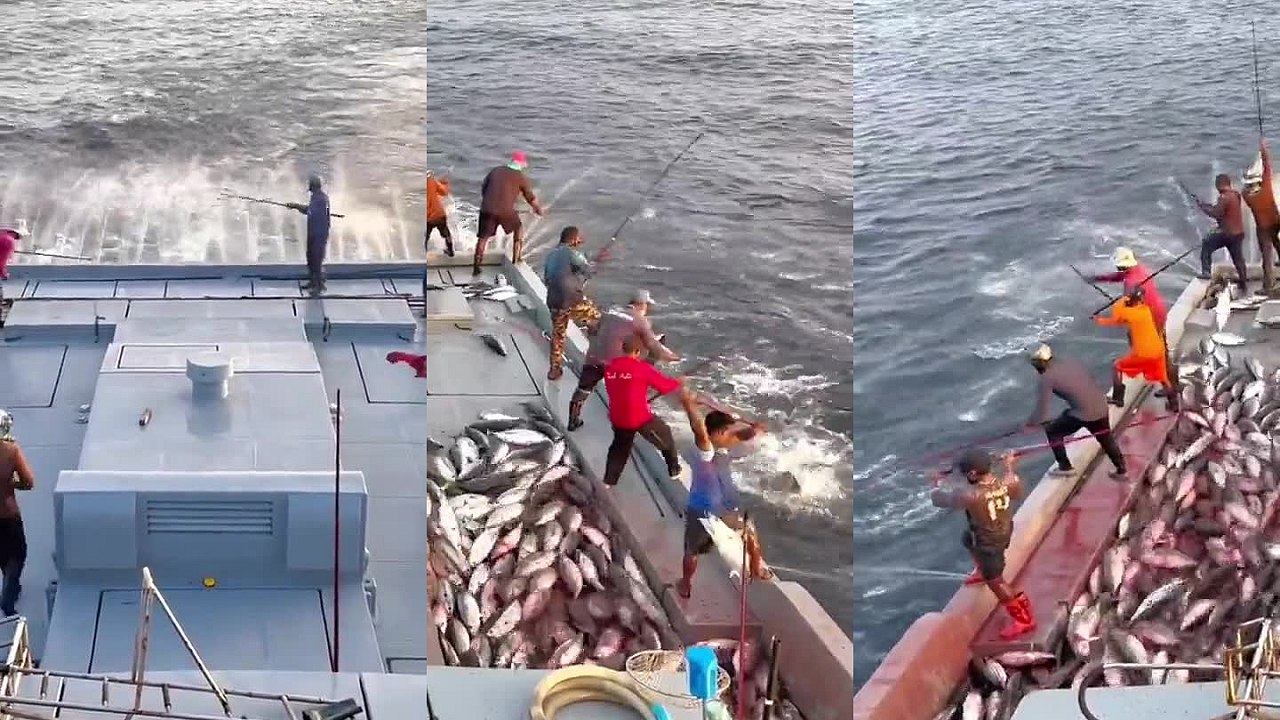 Skončíme, až keď bude plná paluba tuniakov! - Mojevideo