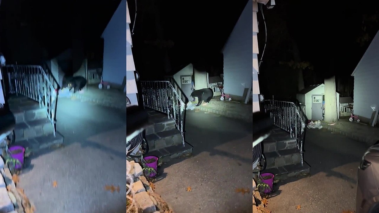 Nikdy nevieš, čo na teba číha v tme za tvojím domom! - Mojevideo