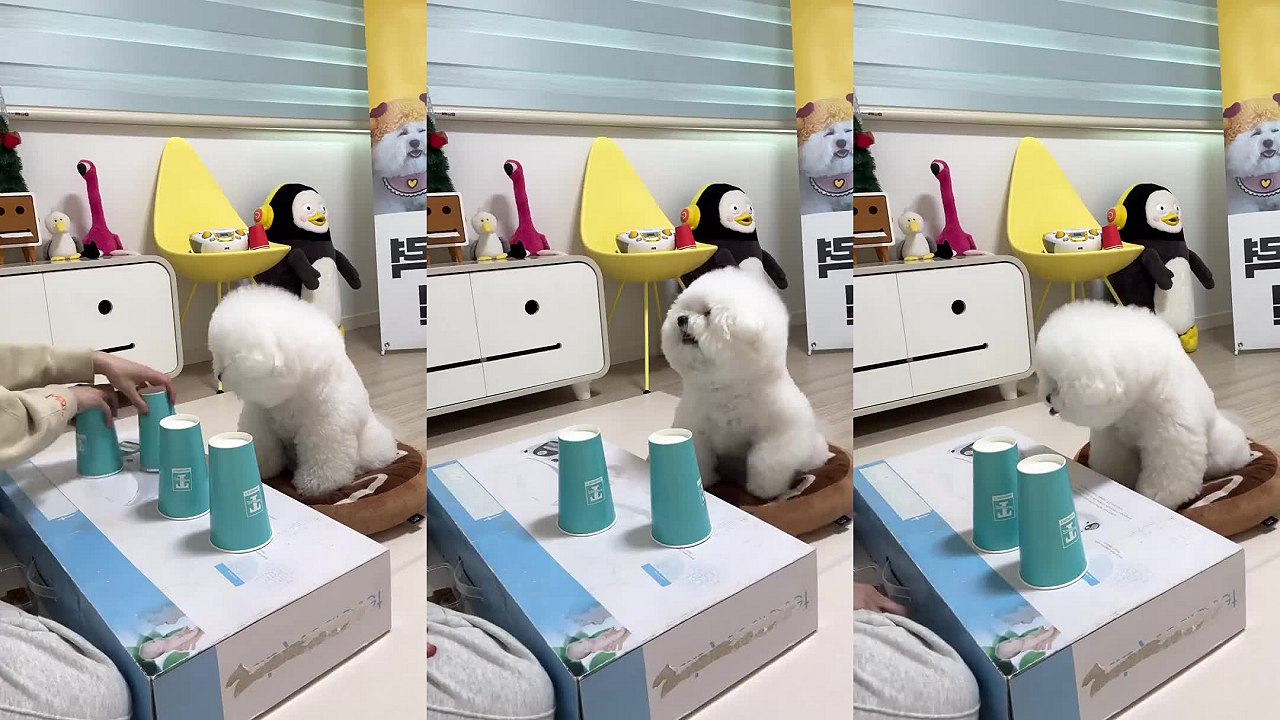 Si nemysli, že ma opiješ suchým rožkom! Nepadol som na hlavu! - Mojevideo