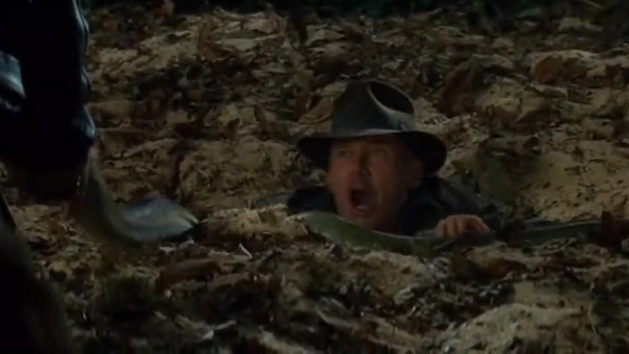 Indiana Jones and the Kingdom of the Crystal Skull Fell in Love With an ...