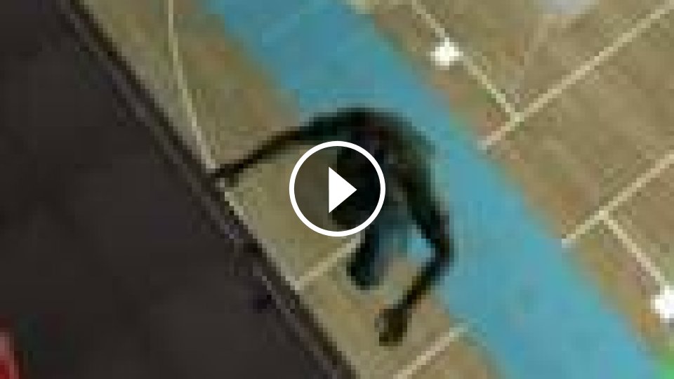 Free Running Pc Game Gameplay Part 1 - Mojevideo