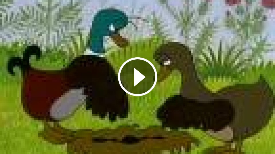Krtko a kačička - Mojevideo