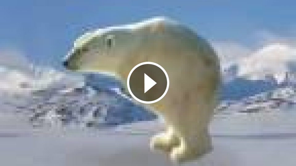 Dvojnohý polárny medveď - Mojevideo